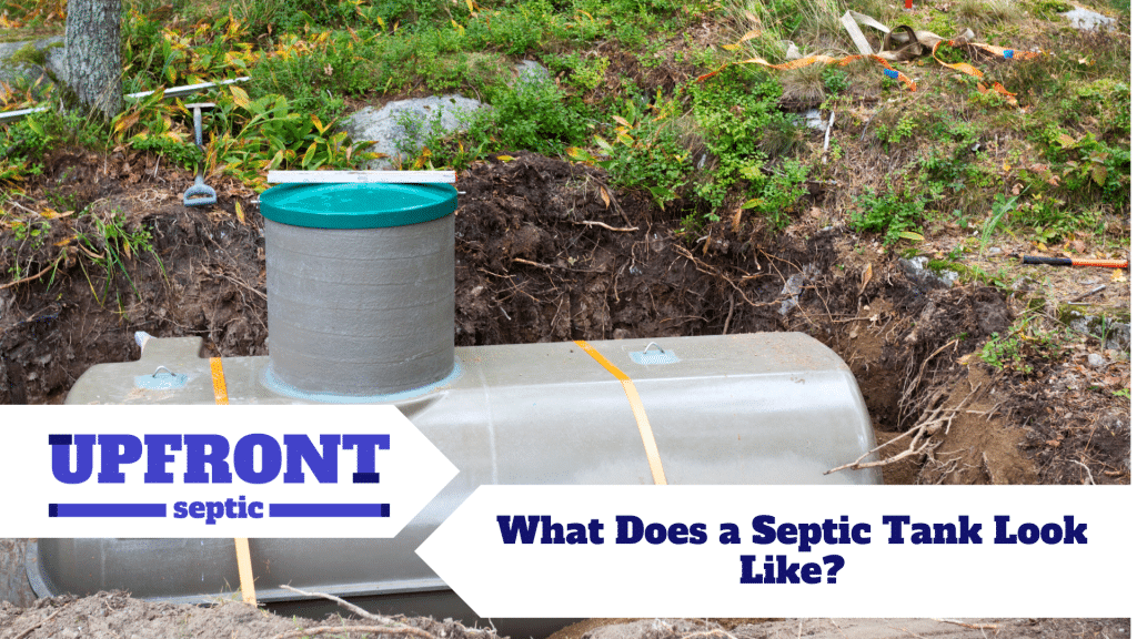 What does a septic tank look like?